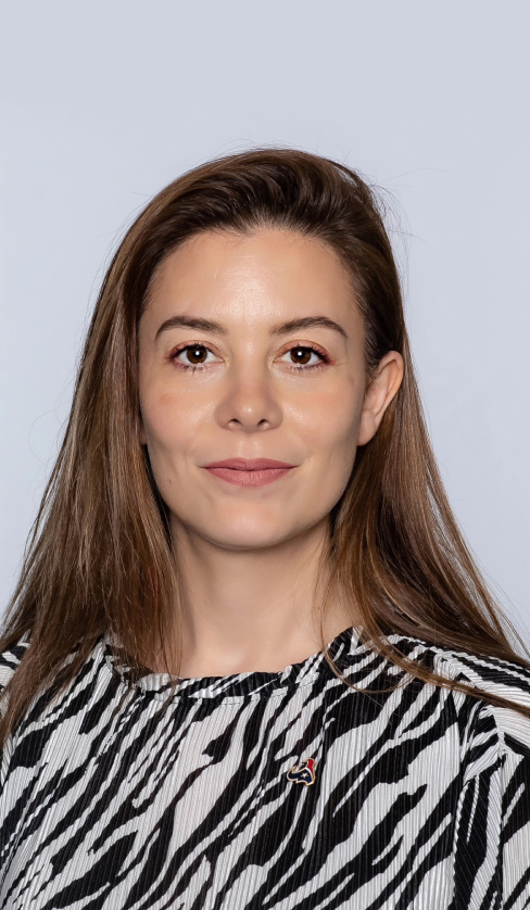 Houston Texans Premier